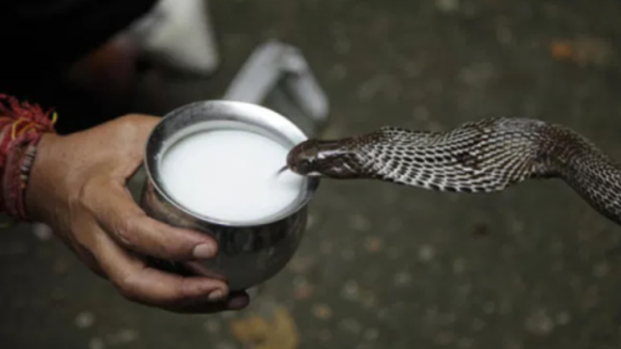 Nag Panchami: Are We Killing Snakes by Feeding Them Milk? | Health and Me