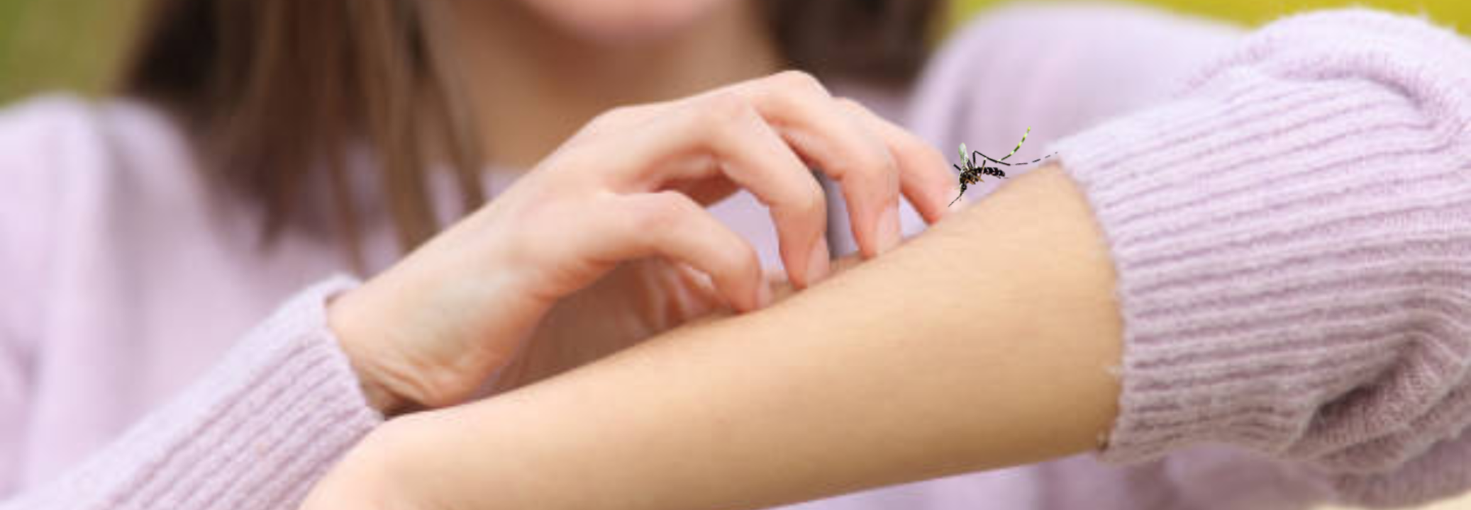 Mosquito Bites: Why Do Mosquitoes Bite Some People More Than Others ...