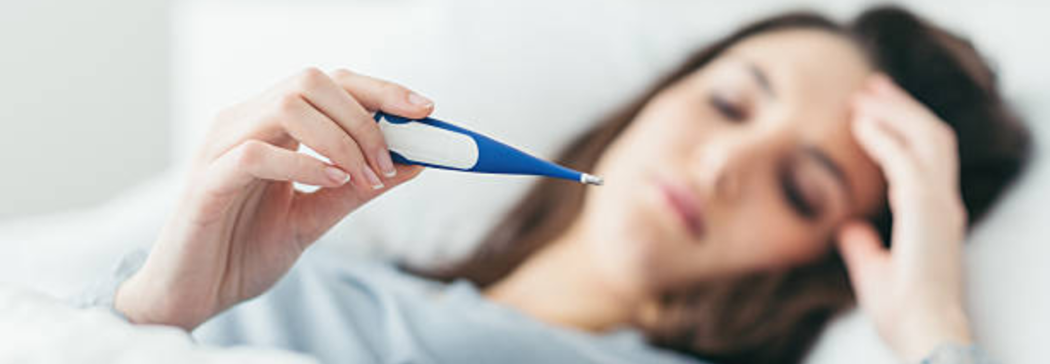 What Is Sloth Fever? Key Facts About The Virus Spreading Across The US ...