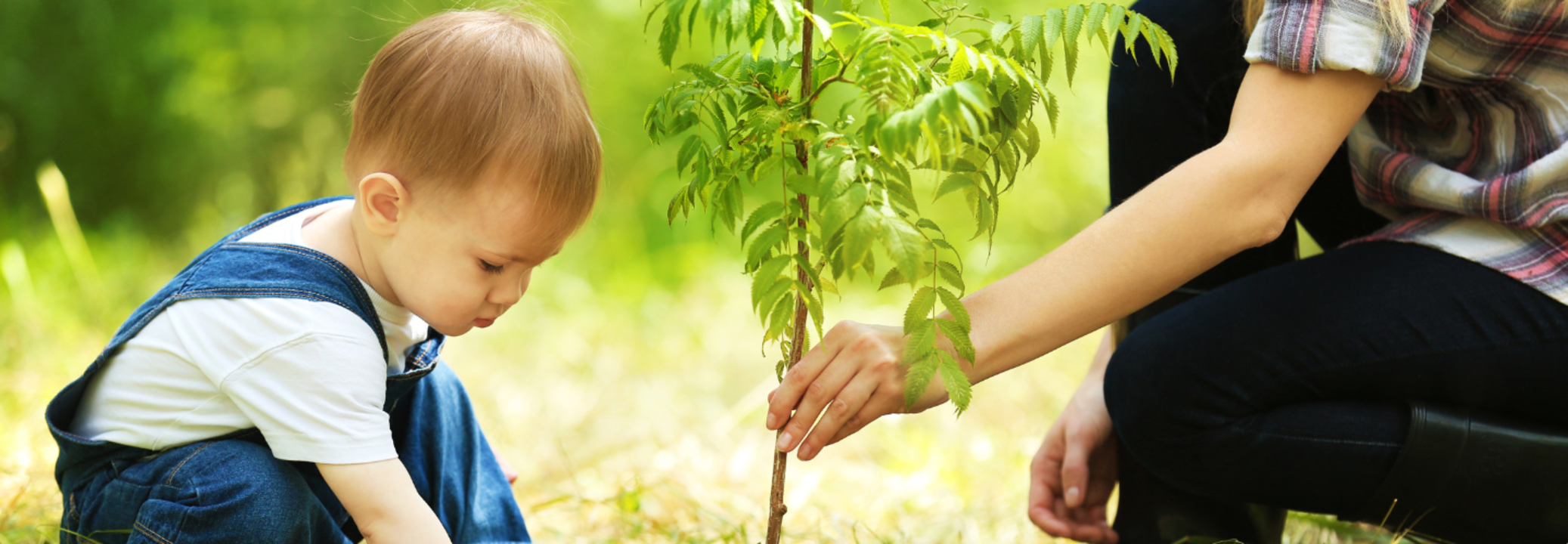 World Environment Health Day 2024: Eco-Friendly Habits Parents Should ...