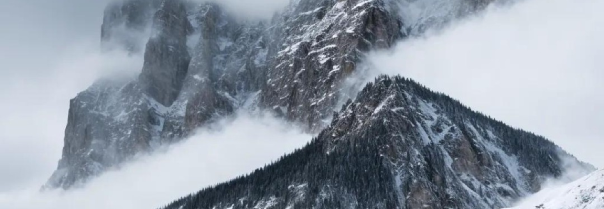 Optical Illusion: What You Spot First Reveals If You Are More ...