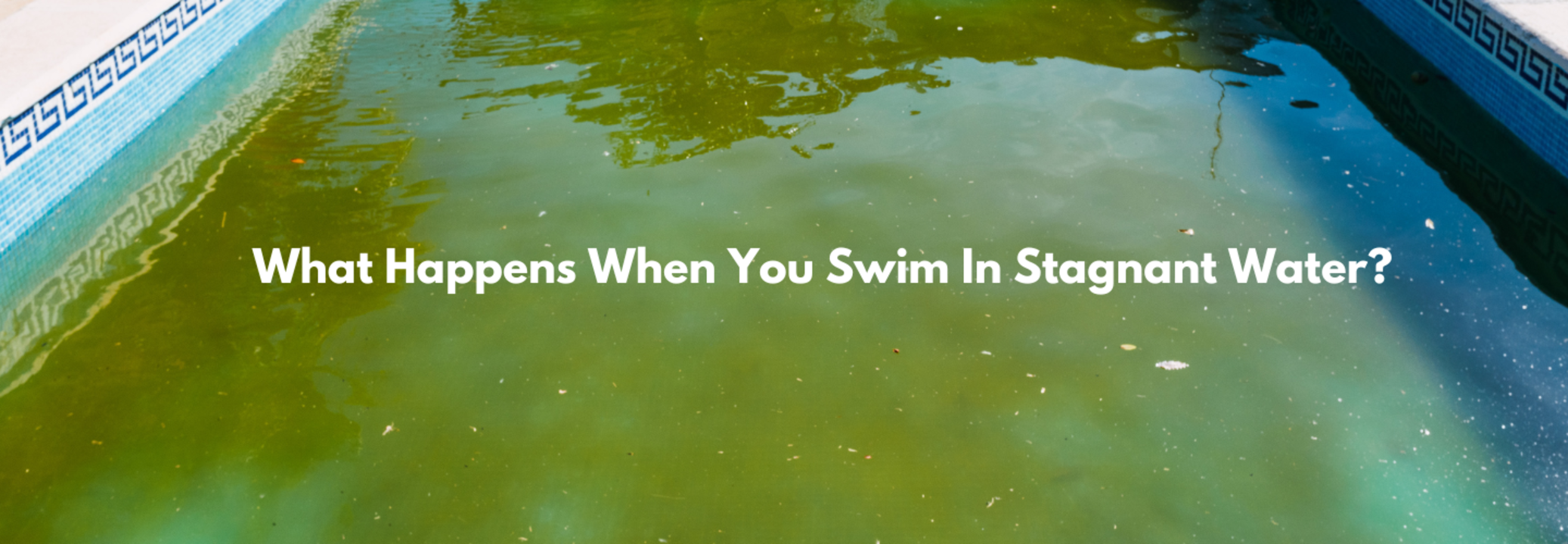 Why Swimming In Still Water Isn't Safe For You | Health and Me