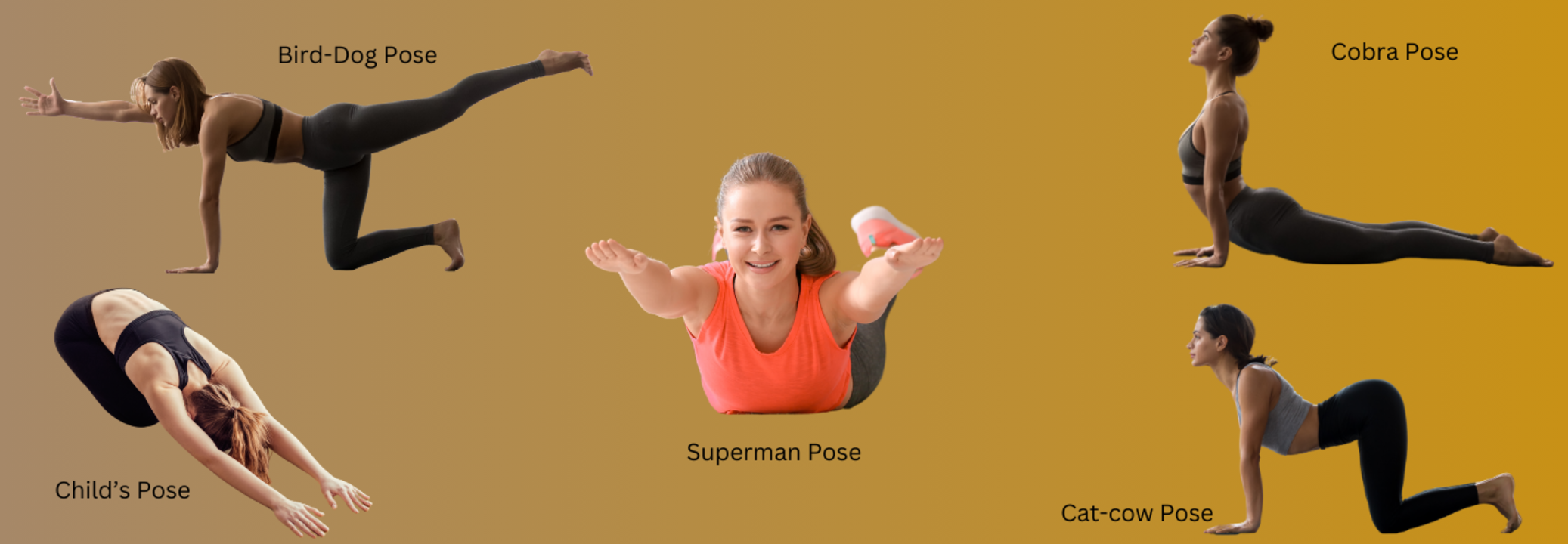 World Spine Day: 5 Yoga Poses For Correcting Spinal Posture | Health and Me