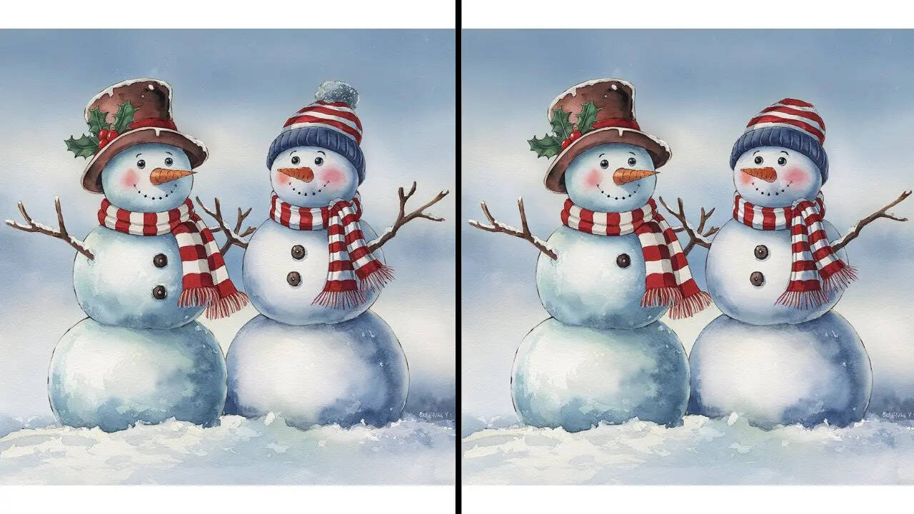 Brain Teaser: Can You Spot 4 Difference In This Winter Wonderland ...