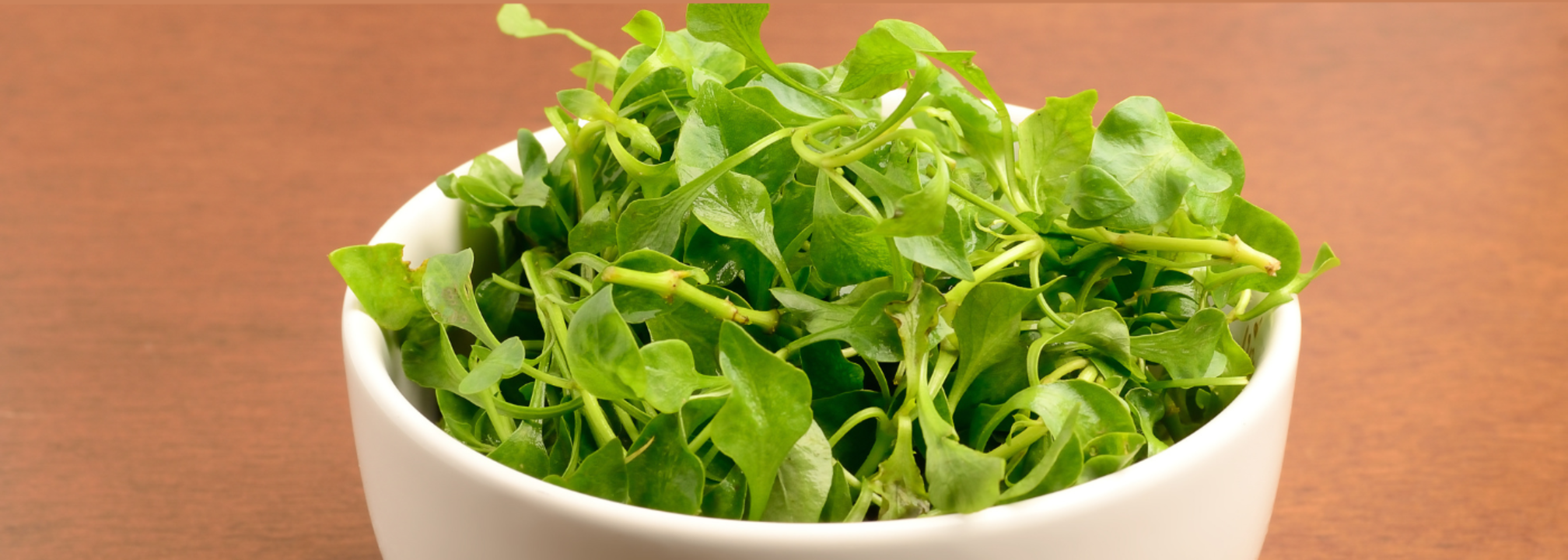 Not Spinach, The Most Nutrient-Dense Leafy Vegetable Is Watercress ...