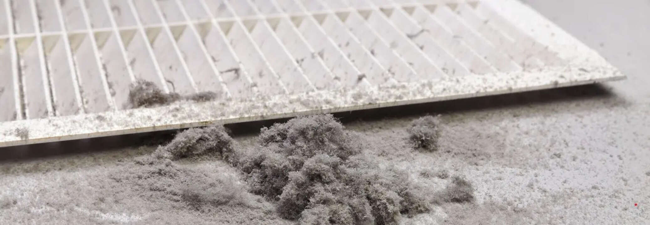 Too Much Of Dust Cause Coughing, Bronchitis And Cancer—How To Get It ...