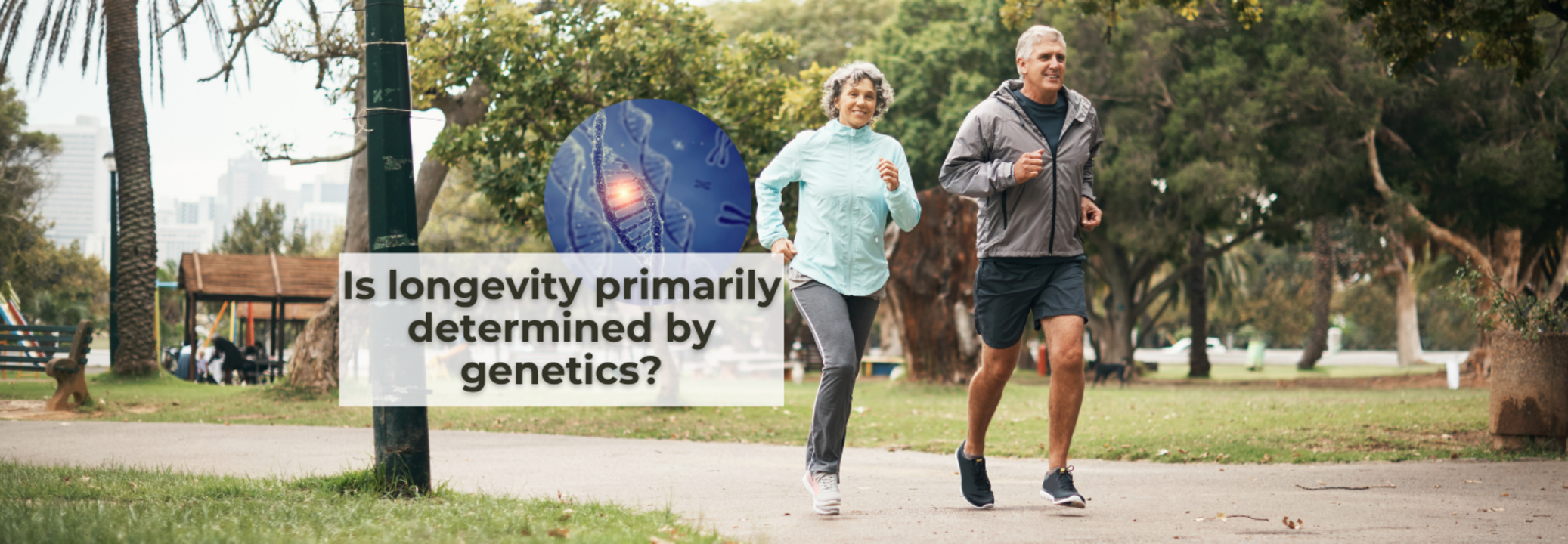 Genetic Factors In Longevity: Are You Predisposed To A Longer Life ...