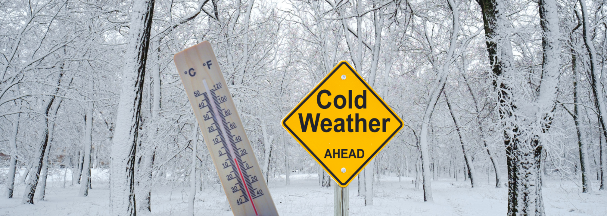 Cold Alert In UK: What Does It Mean For The People? | Health and Me