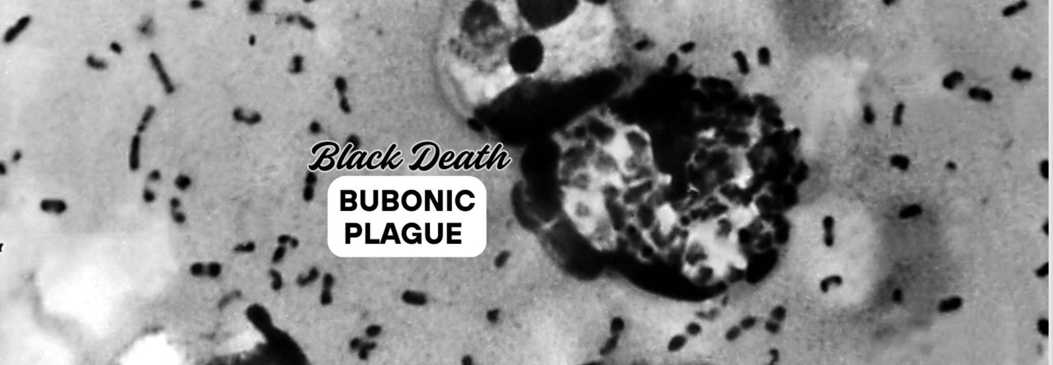 Has The Black Death Returned? List Of Dreadful Symptoms Of The Bubonic ...