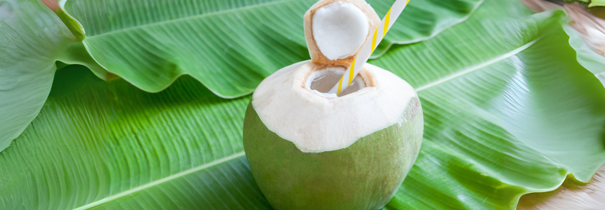 Man Dies From Brain Damage After Drinking Just One Sip Of Rotten ...
