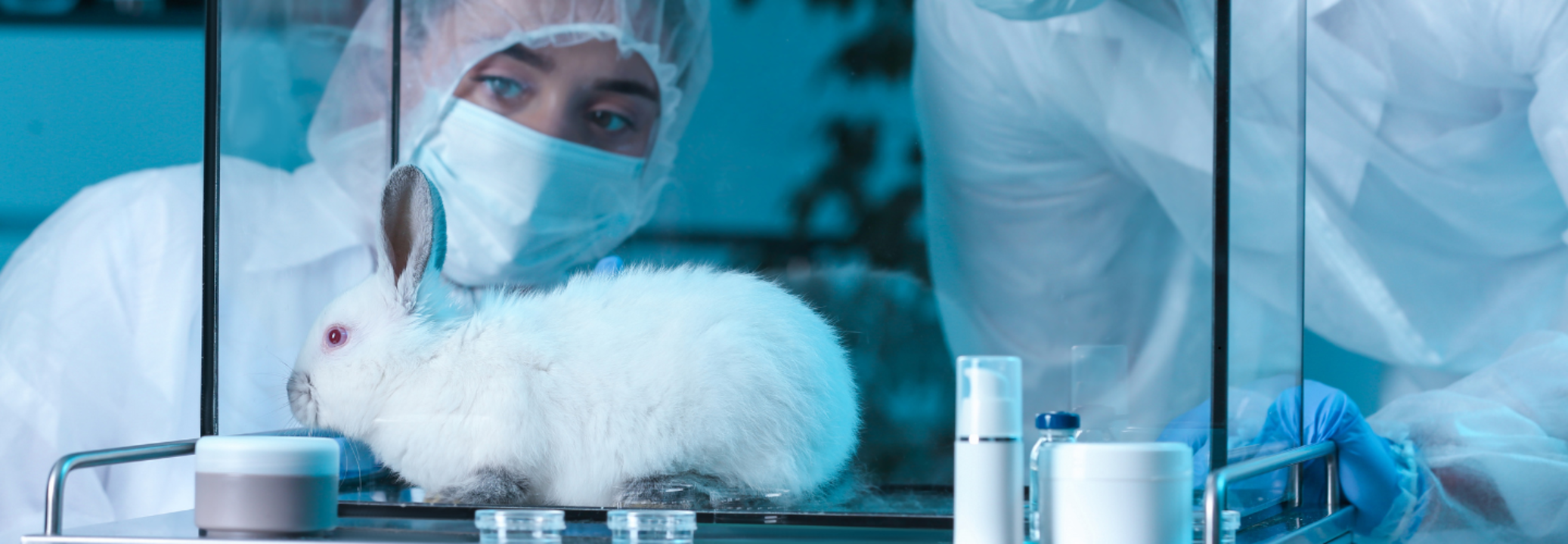 FDA Plans To Halt Animal Testing For Drug Approval, What Could Replace ...