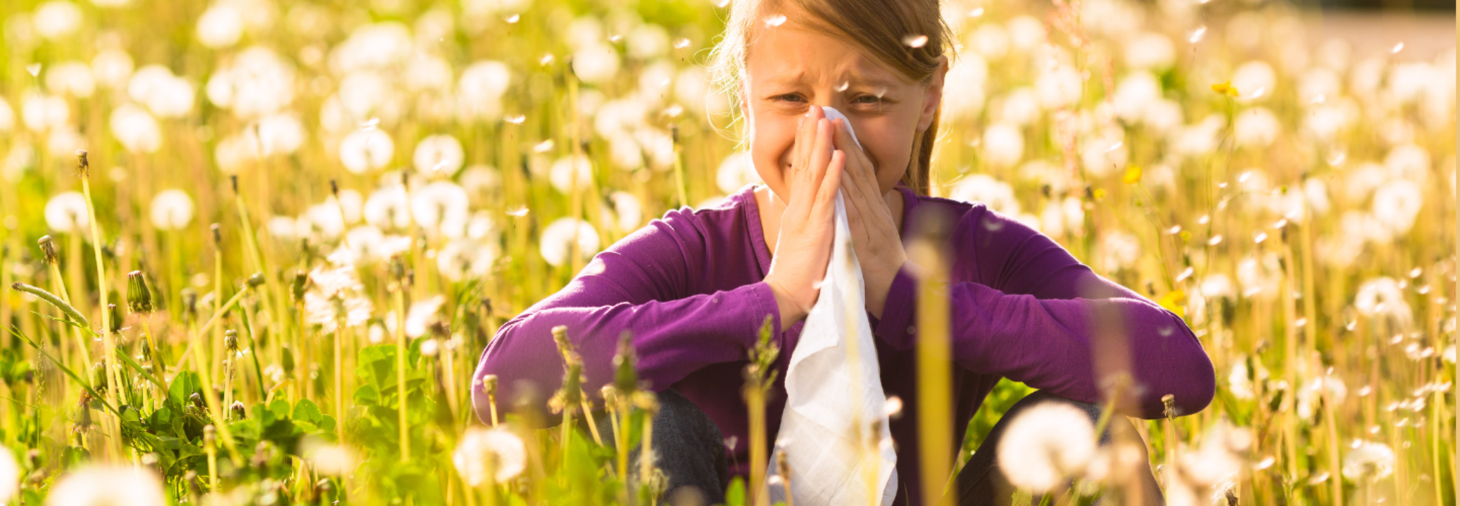 Amid Rising Pollen, Britons Advised To 'Keep Windows Shut Between 10am ...