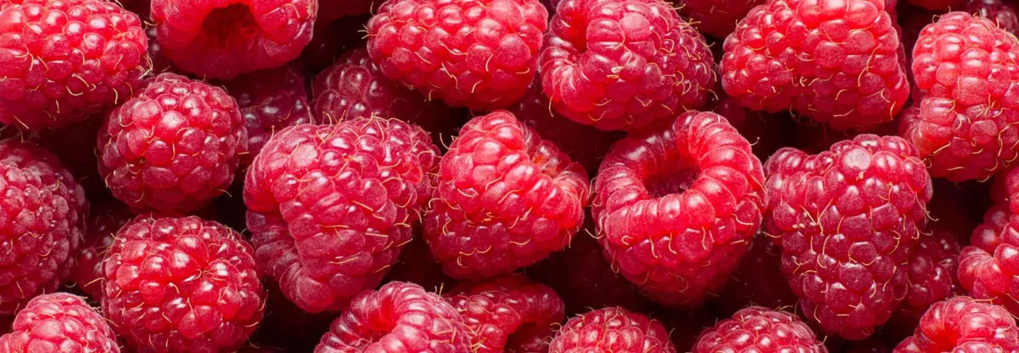 What Happens To Your Body When You Eat Raspberries | Health and Me