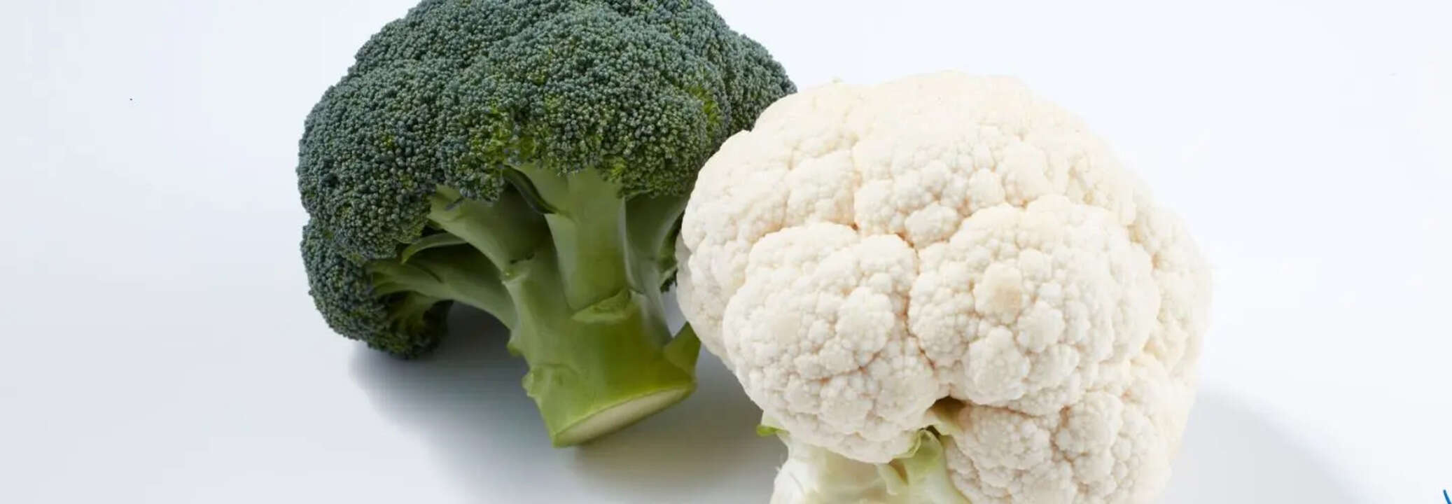 20 Best Foods For People With Kidney Disease | Health and Me