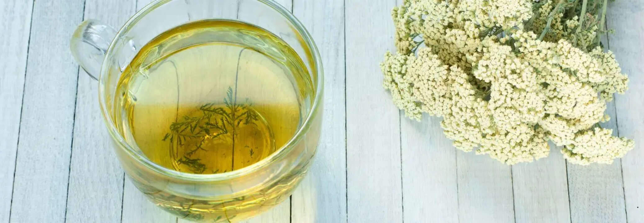 How Beneficial Is Yarrow Tea For Your Health? | Health and Me