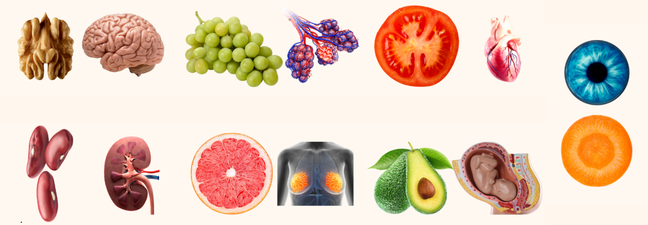 7 Foods That Look Like The Body Parts They Are Good For | Health and Me