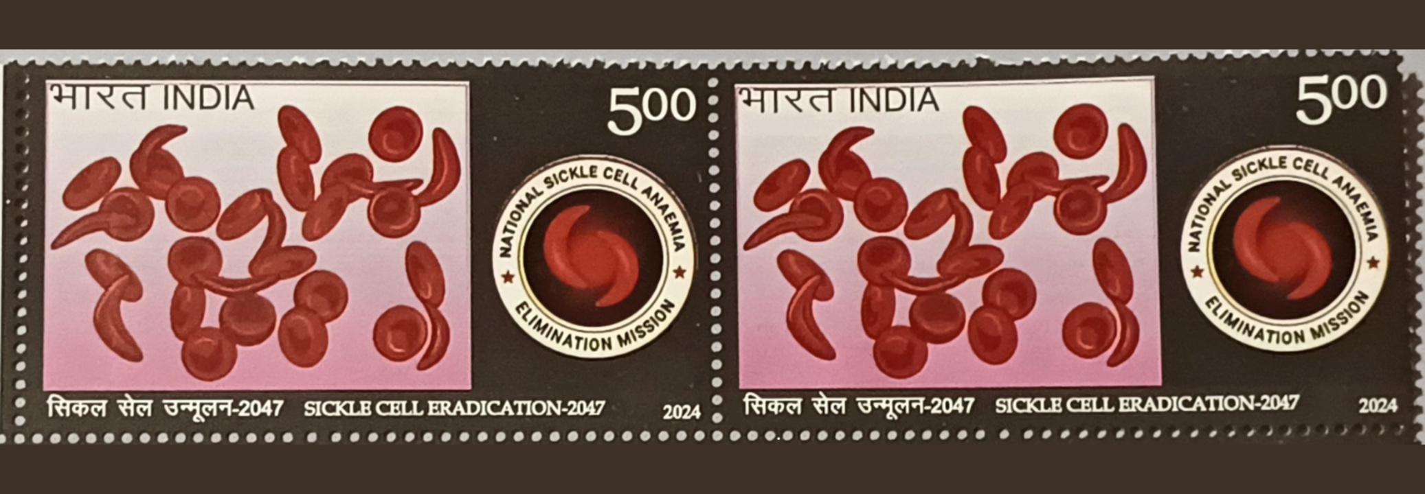 Sickle Cell Disease: Tracing The History Of The First Ever Genetic ...