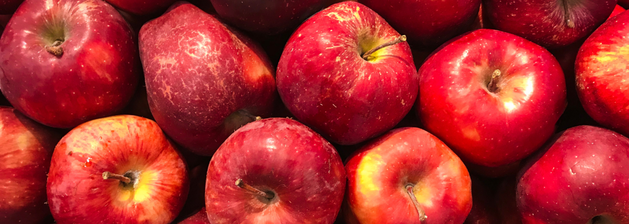 Is There Any Truth Behind The Saying, 'An Apple A Day Keeps Doctors ...