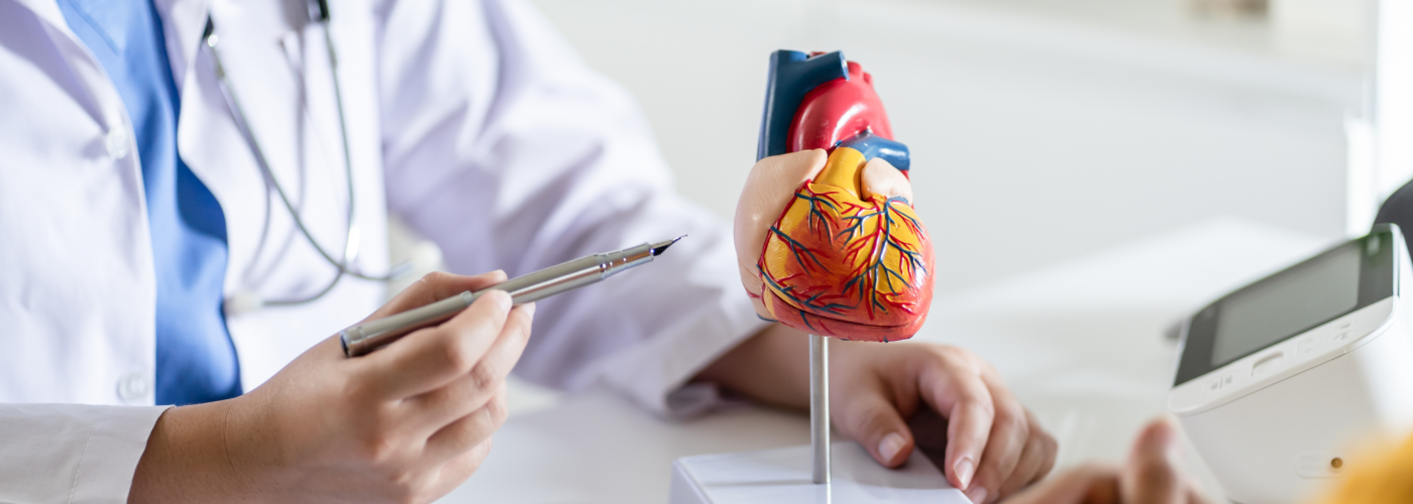 New Hope For Heart Transplants: Researchers Look At Methods That Could ...