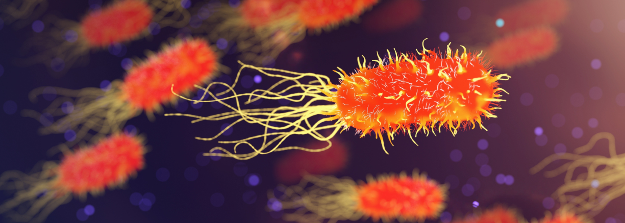 Flesh-Eating Bacteria Outbreak in Florida Claims 4 Lives — What You ...