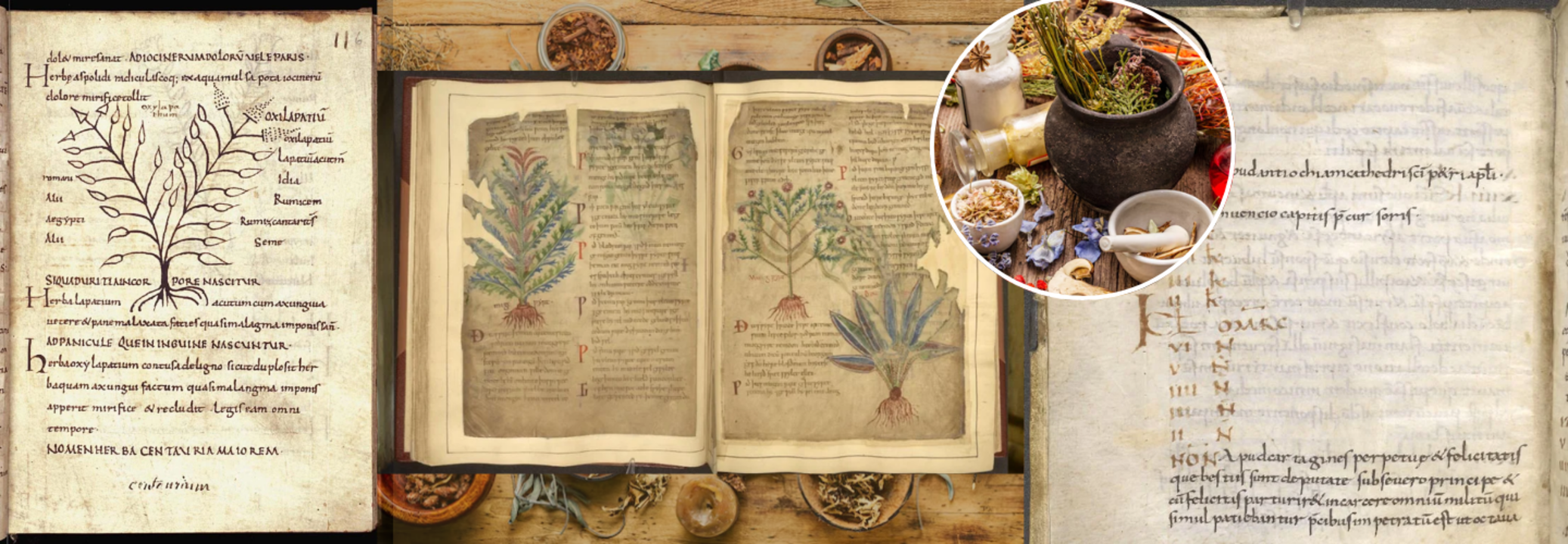 From Herbs To Healing Rituals: Why Medieval Wellness Trends Are Back ...