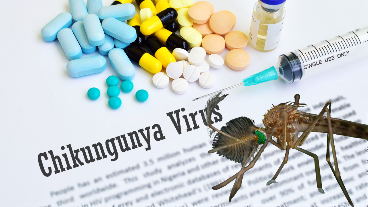 Chikungunya Outbreak In China Has Prompted Canada To Update Its Travel ...