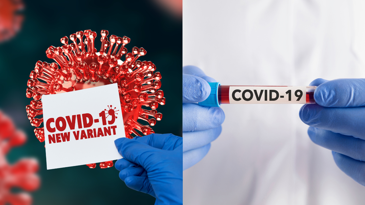 XFG ‘Stratus’ COVID Now Dominant in US: States With Highest Cases and ...