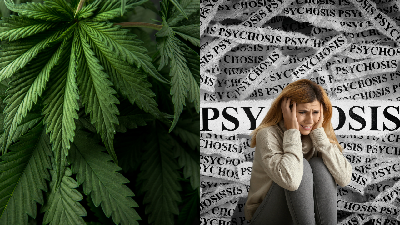 The Rise of Cannabis-Induced Psychosis in the UK: What It Is and Why ...
