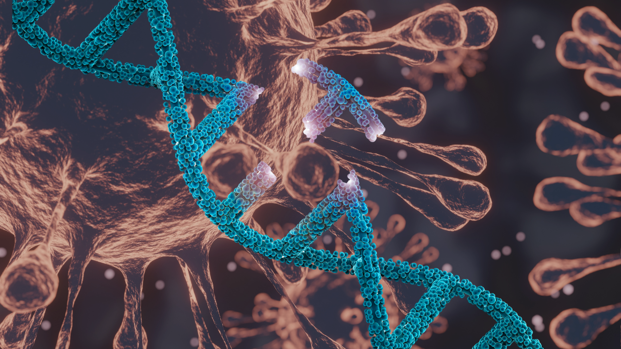 Scientists Recreate Rare Mutation That Could Make You Nearly Immune To ...