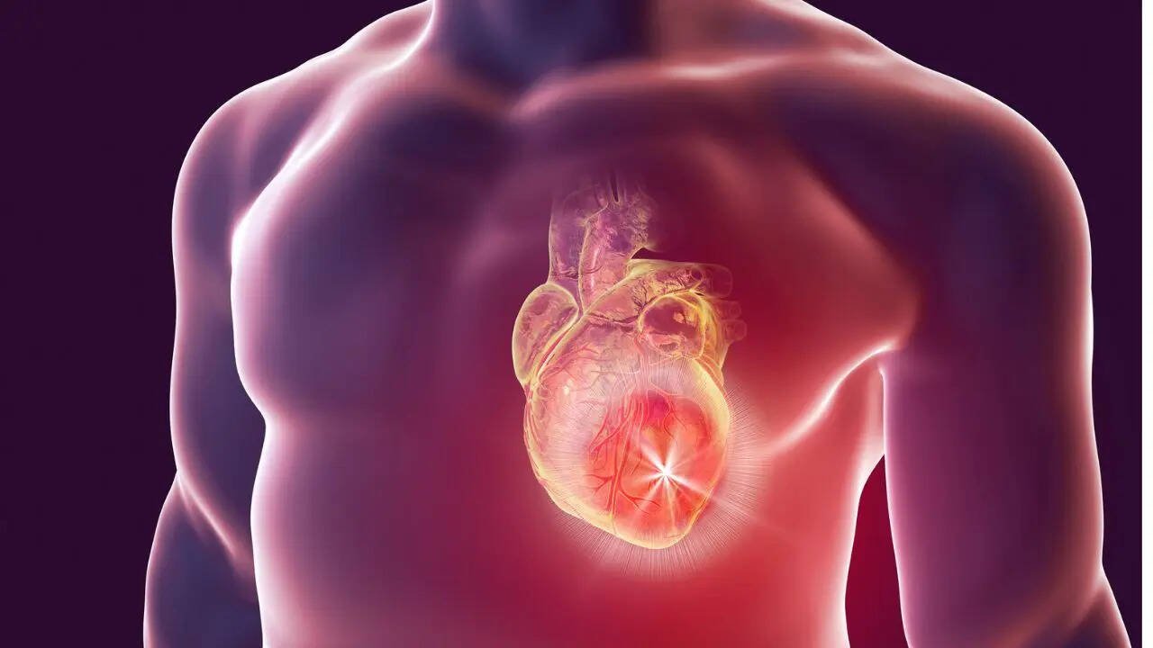 Can An Infection Cause A Heart Attack? Here’s What Experts Say | Health ...