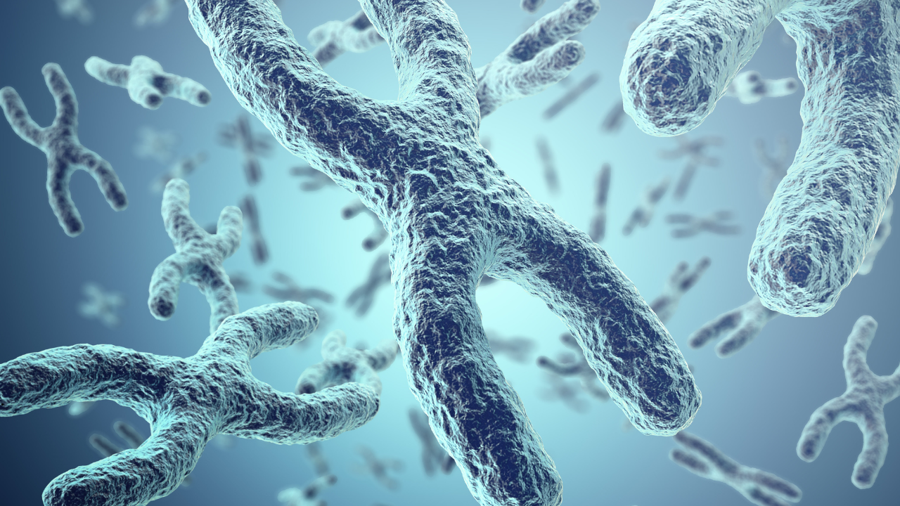 All About The AMT-130 Gene Therapy - Treatment For Huntington's Disease ...