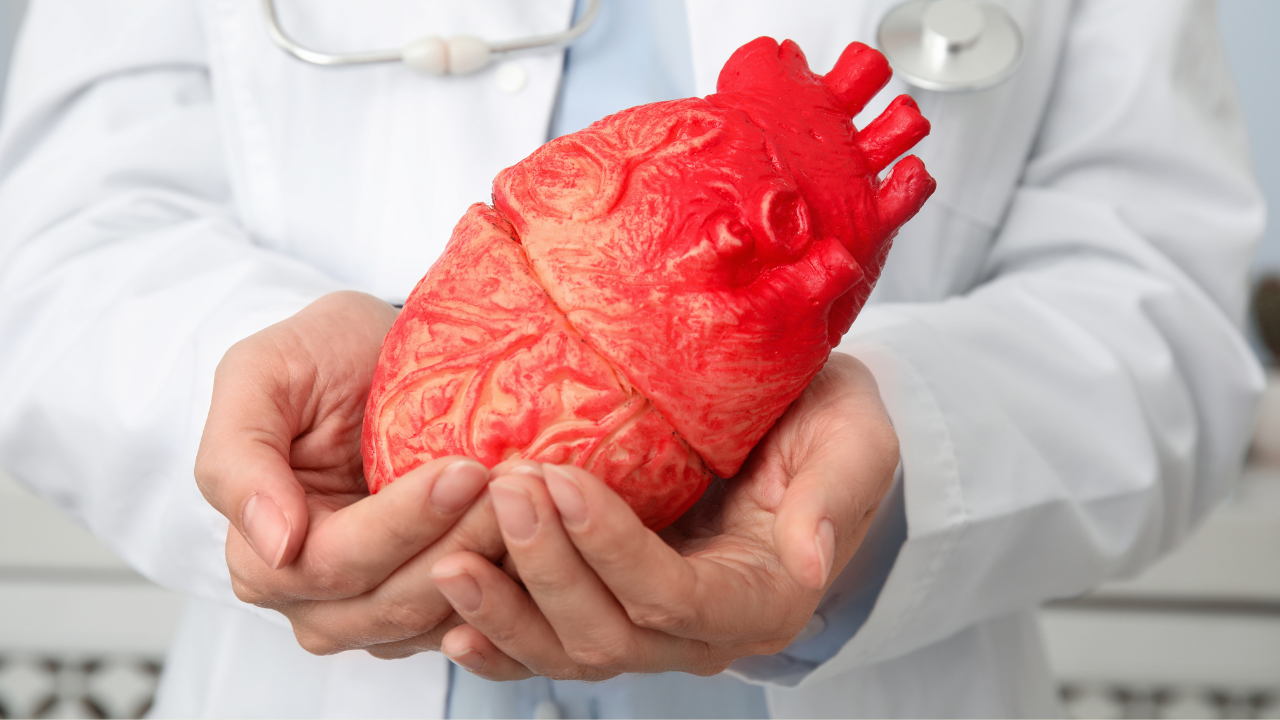 World Heart Day 2025: Theme, History, and Significance | Why It's ...