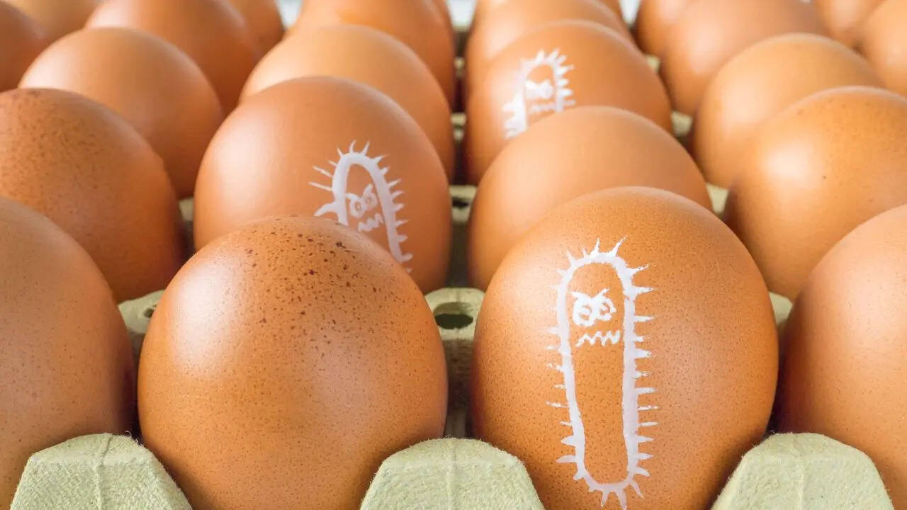 Over 6 Million Eggs Recalled In The US Over Salmonella Risk; What You Need to Know | Health and Me
