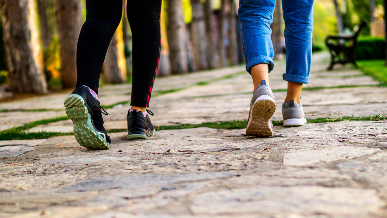 Long Walks Vs Several Short Walks? Study Reveals Which One Is Better ...