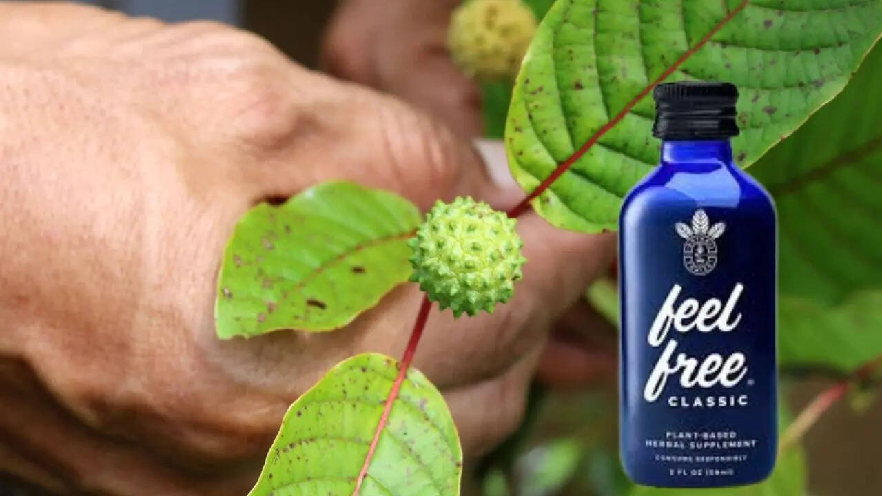 What Are Kratom And Kava, The Controversial Ingredients In ‘Feel Free ...