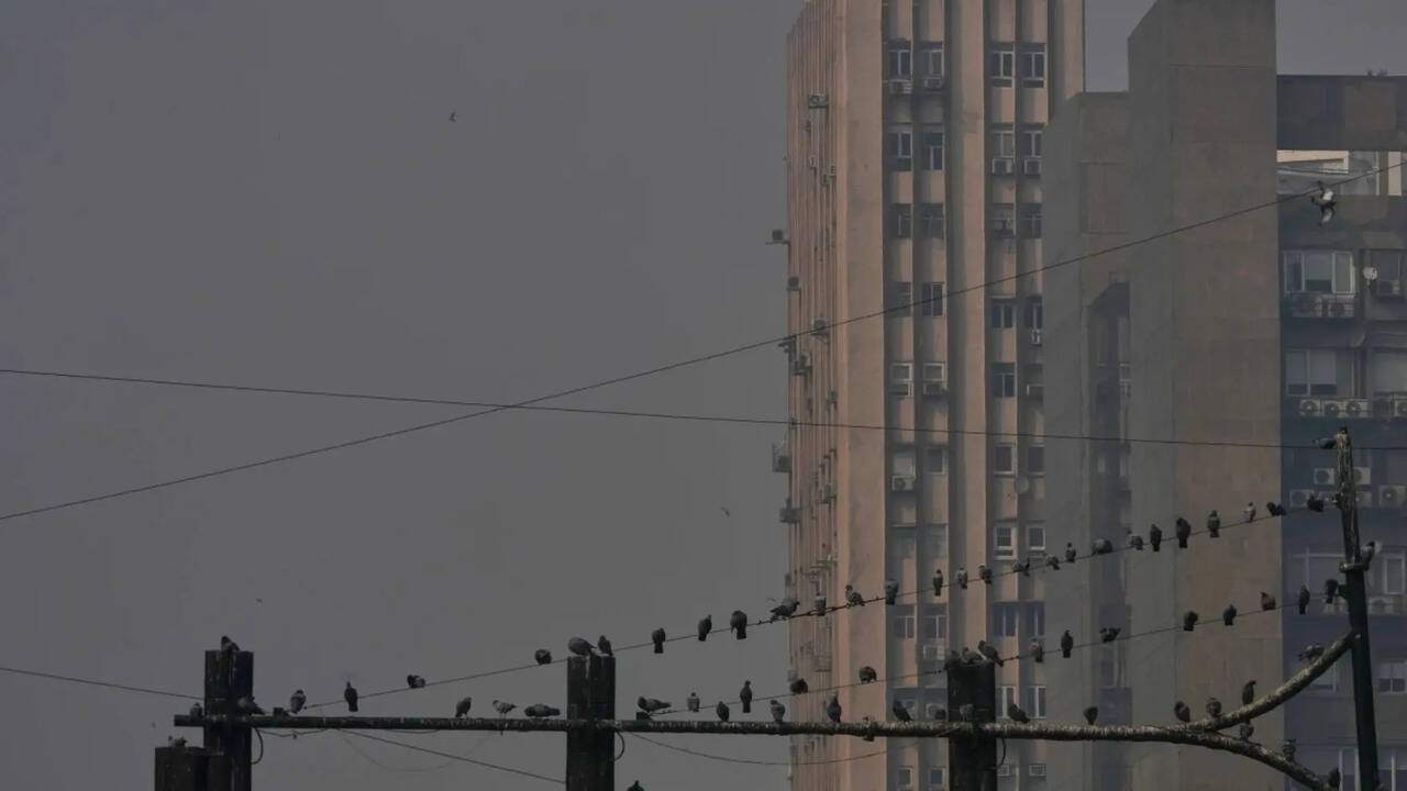 GRAP 3 Restrictions Revoked In Delhi-NCR: What Residents Can Use Again ...
