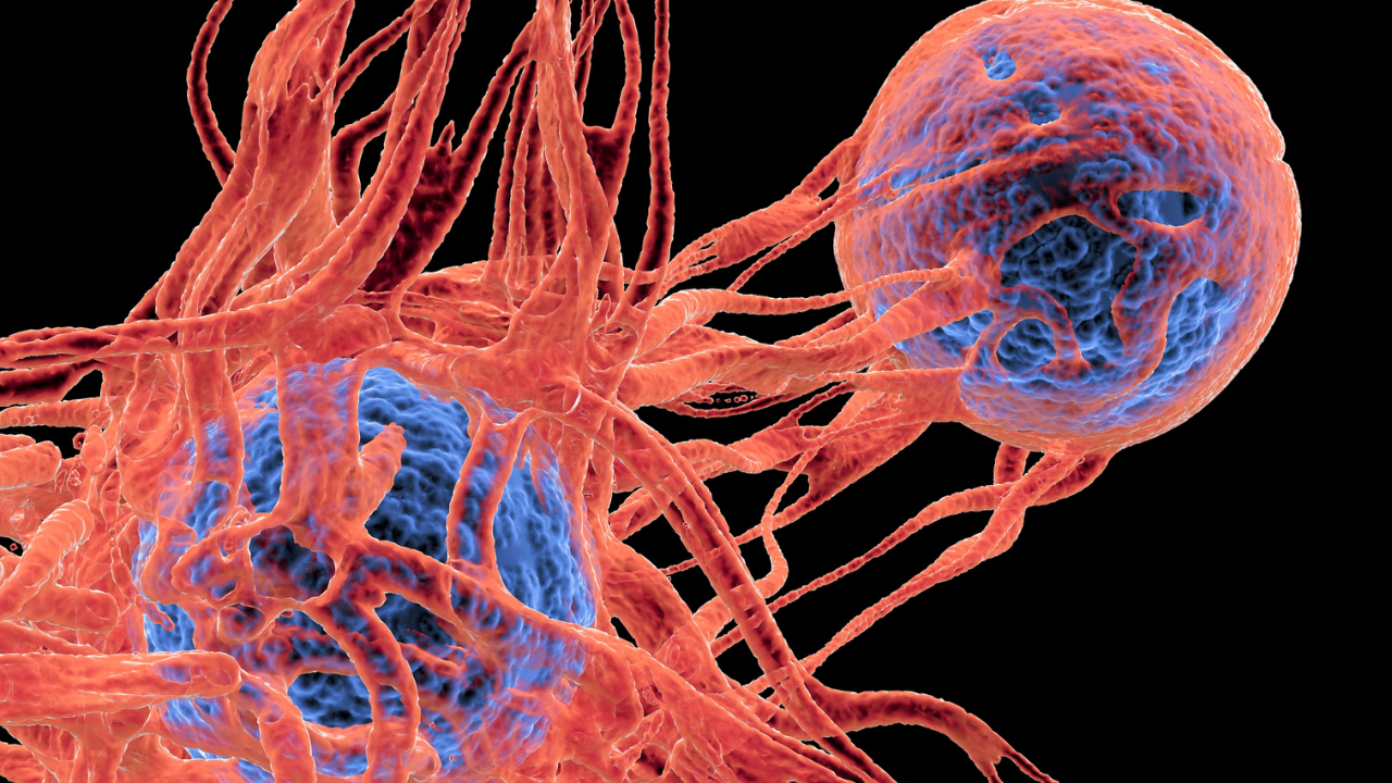 Cancer Cells Cheat Drugs, Pretends To Be Dead, To Avoid Treatment ...