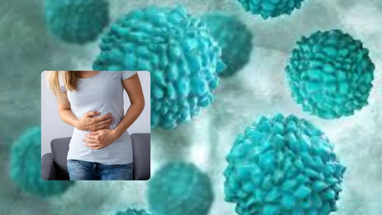 Norovirus 2025: How Contagious Is the Stomach Bug Spreading Across the ...