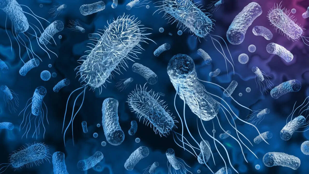 Evolving Bacteria Infections Rising Across UK With Close To 400 Weekly ...