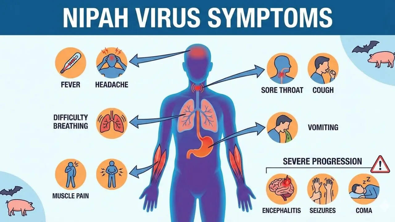 Nipah Virus Symptoms Explained As Doctors Warn Up To 75% Fatality Risk ...