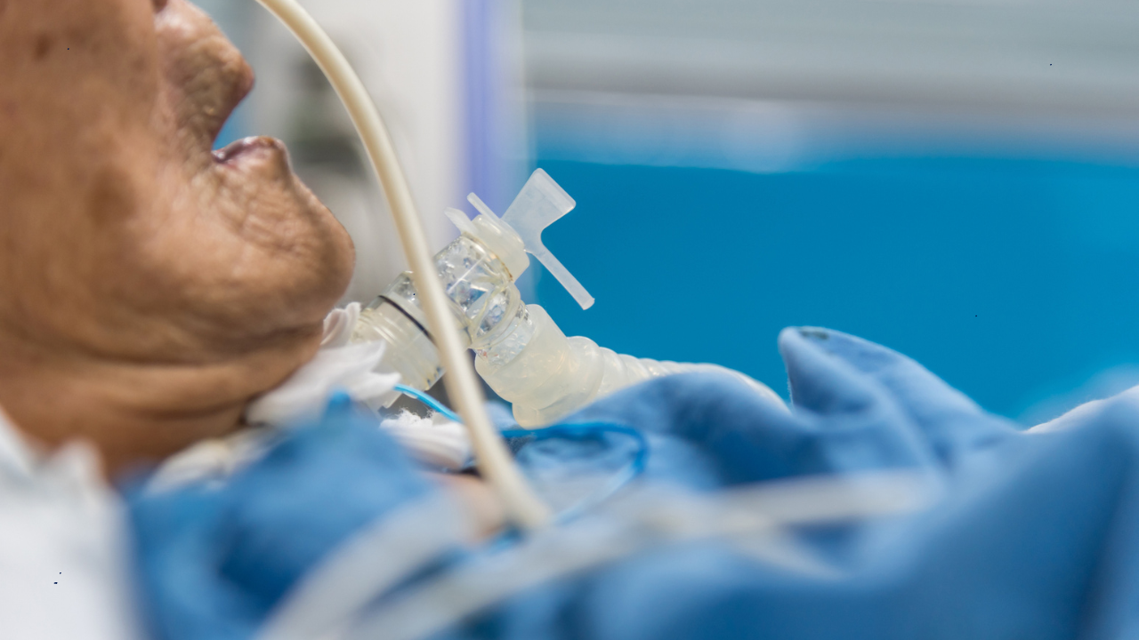 Passive Euthanasia: Harish Rana’s Case May Reshape End-of-life ...