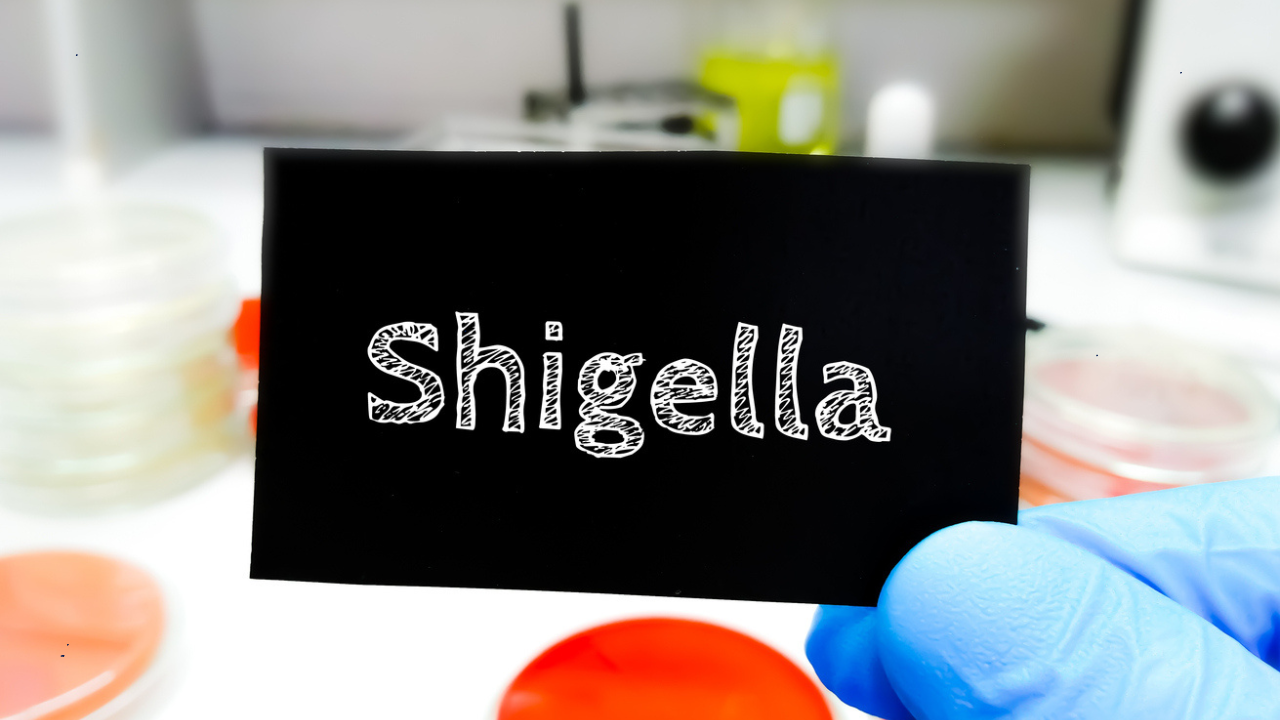 US CDC Warns Rising Drug-Resistant Shigella Cases A Public Health ...