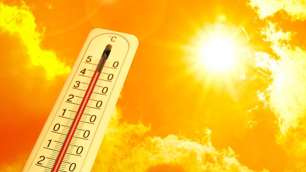 Heatwave In India: Govt Issues Advisory, Doctors Stress Hydration ...