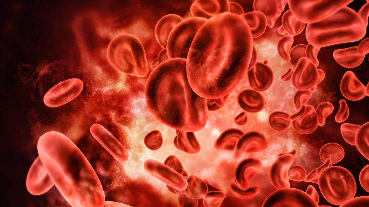 Understanding Pediatric Blood Cancer: Symptoms Parents Should Know ...