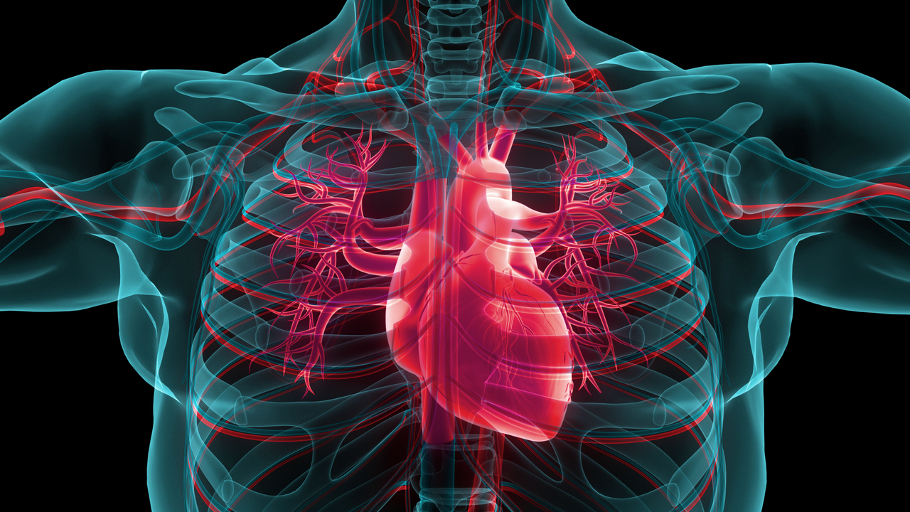 Why Indians In Their 20s Suddenly Need Calcium Heart Scans | Health and Me