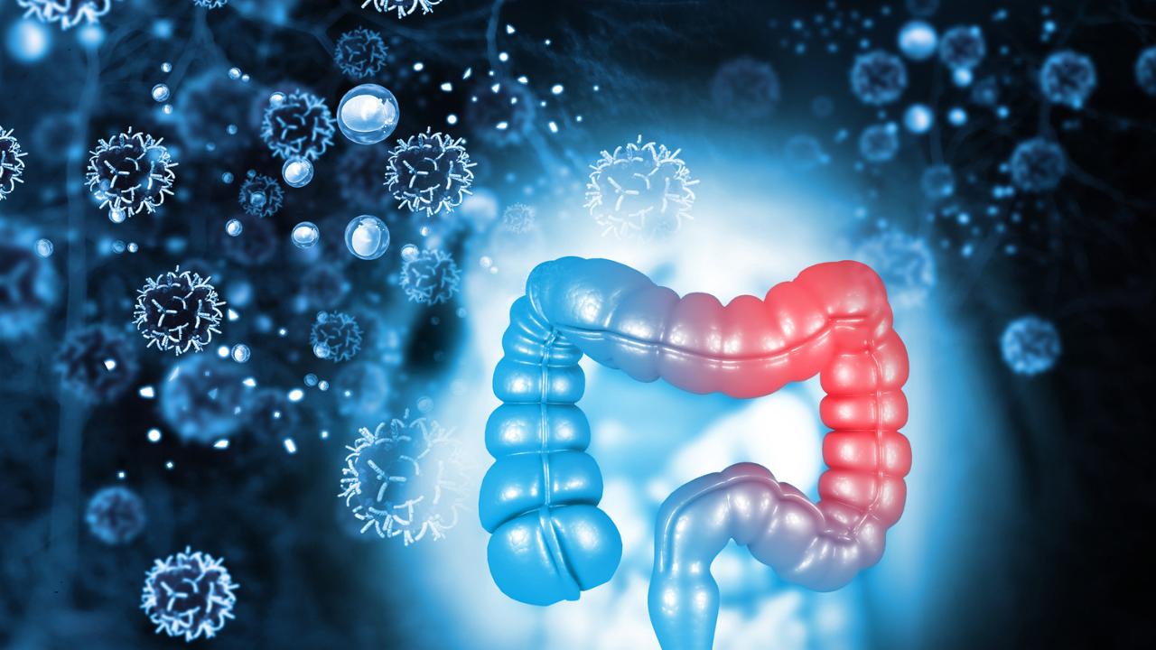 World Digestive Health Day 2026: Why Digestive Disorders Need Earlier ...