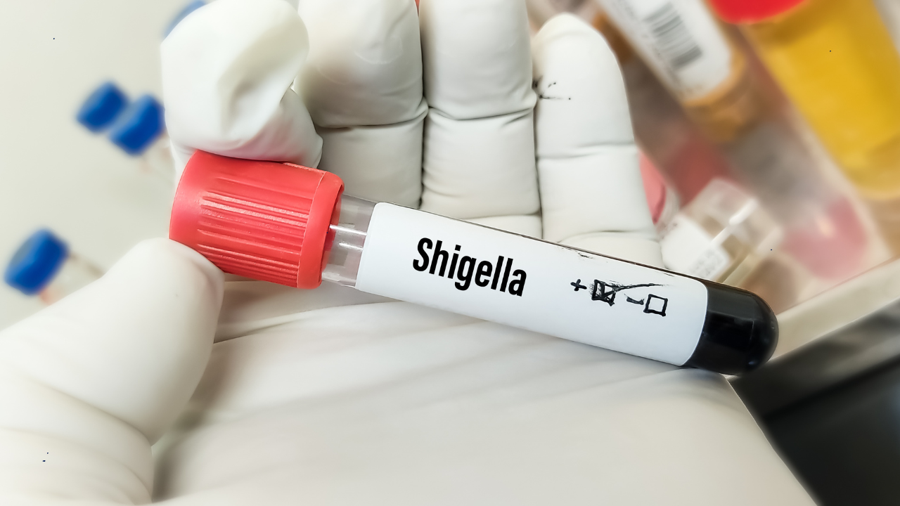 Shigella: The Infection That Claimed A 4-Year-Old's Life In Kerala ...