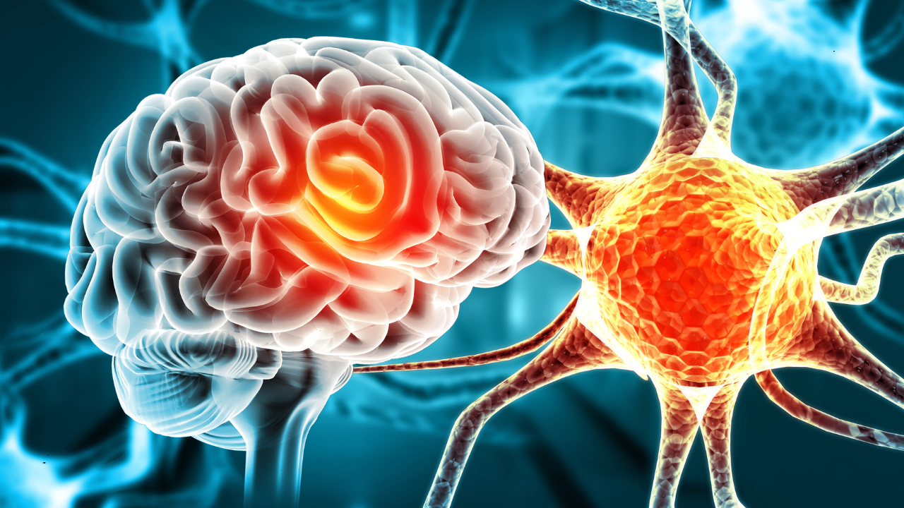 Brain Tumor: Understanding The Signs And Supporting Recovery Beyond ...