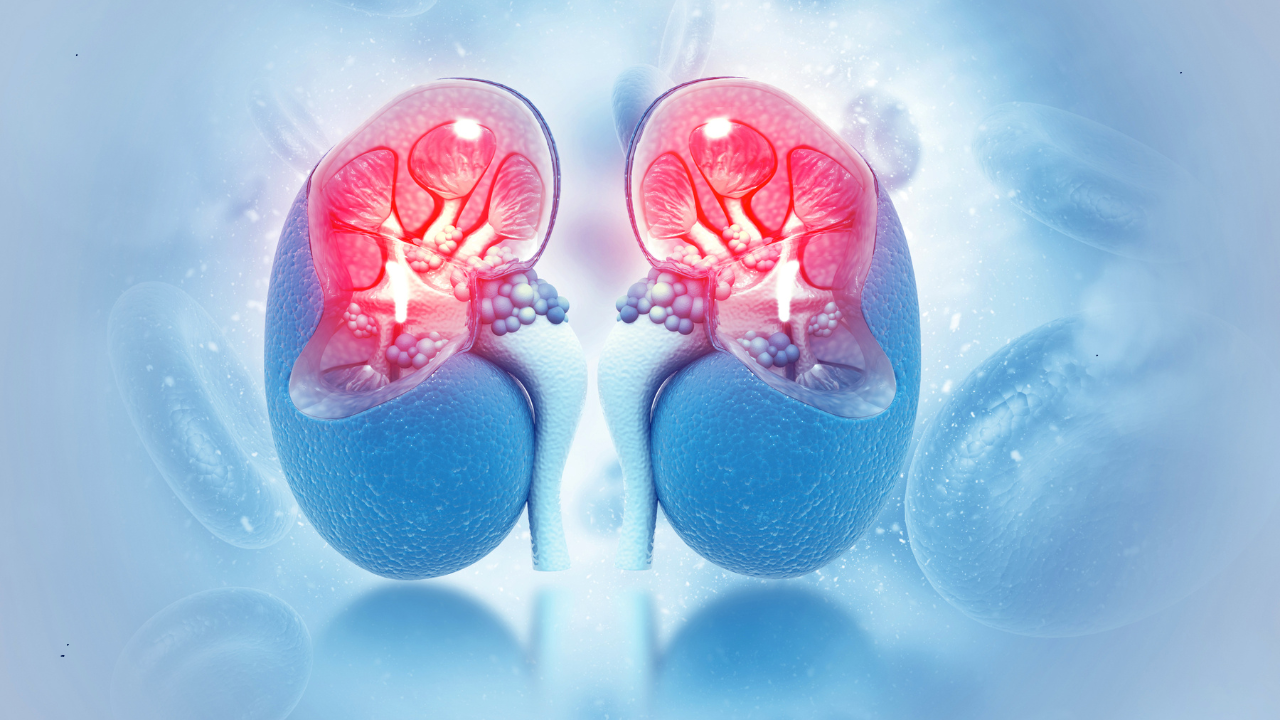 More Than A Fitness Trend: Why Yoga Matters For Dialysis Patients ...