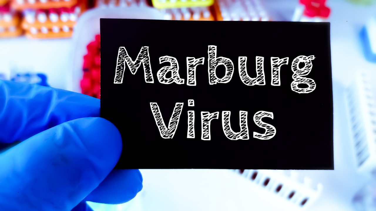 Uganda On Alert Over Suspected Marburg Virus Outbreak | Health and Me